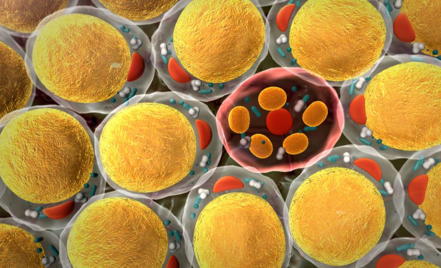 Whoosh effect - a co to jest?!